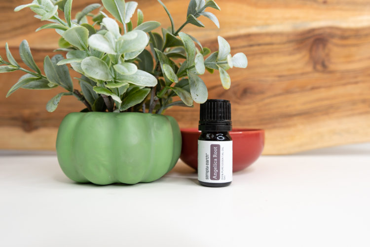 Angelica Root Essential Oil Uses & Benefits - Simply Earth Blog