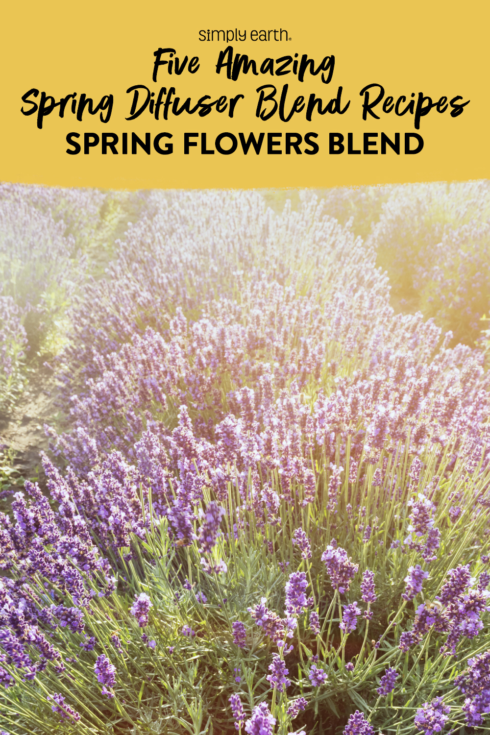 Five Amazing Spring Diffuser Blend Recipes - Simply Earth Blog