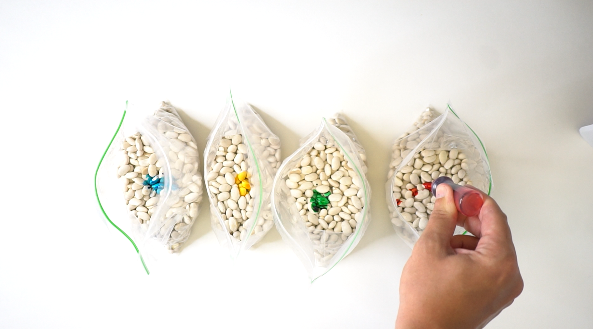 DIY Rainbow Beans Activity for Sensory Play - Simply Earth Blog