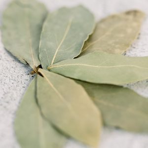 Bay Essential Oil: Everything You Need to Know - Simply Earth Blog