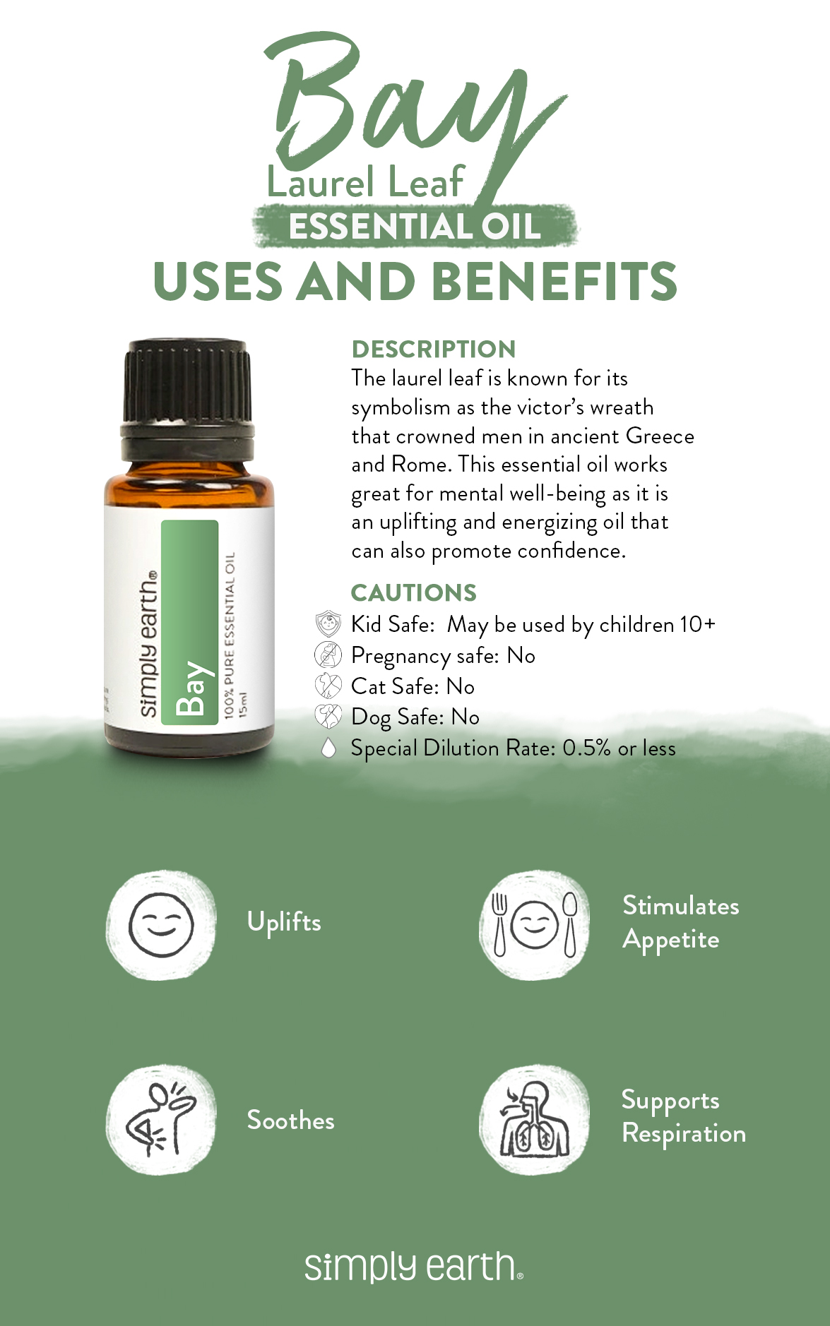 What You Need to Know About Bay Essential Oil - Simply Earth Blog