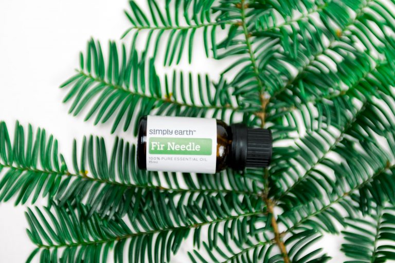 Fir Needle Essential Oil Benefits, Uses, and Recipes - Simply Earth Blog