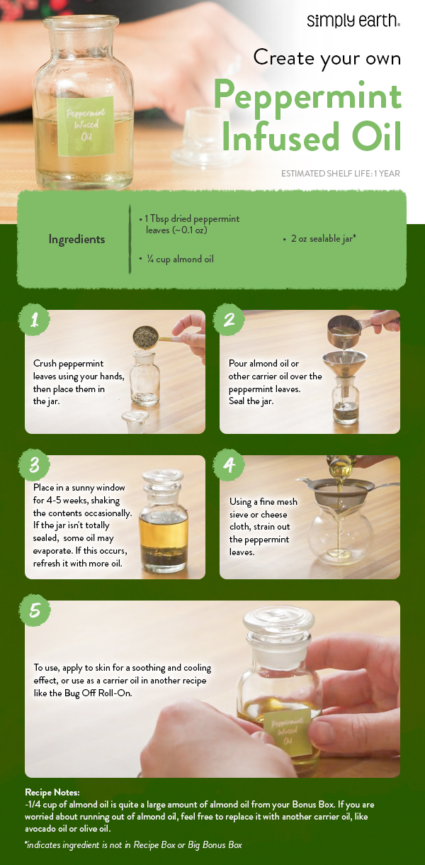Peppermint Body Oil Recipe Through Solar Infusion - Simply Earth Blog