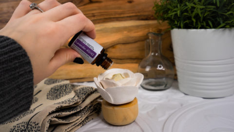 All You Need to Know About Passive Diffusers - Simply Earth Blog