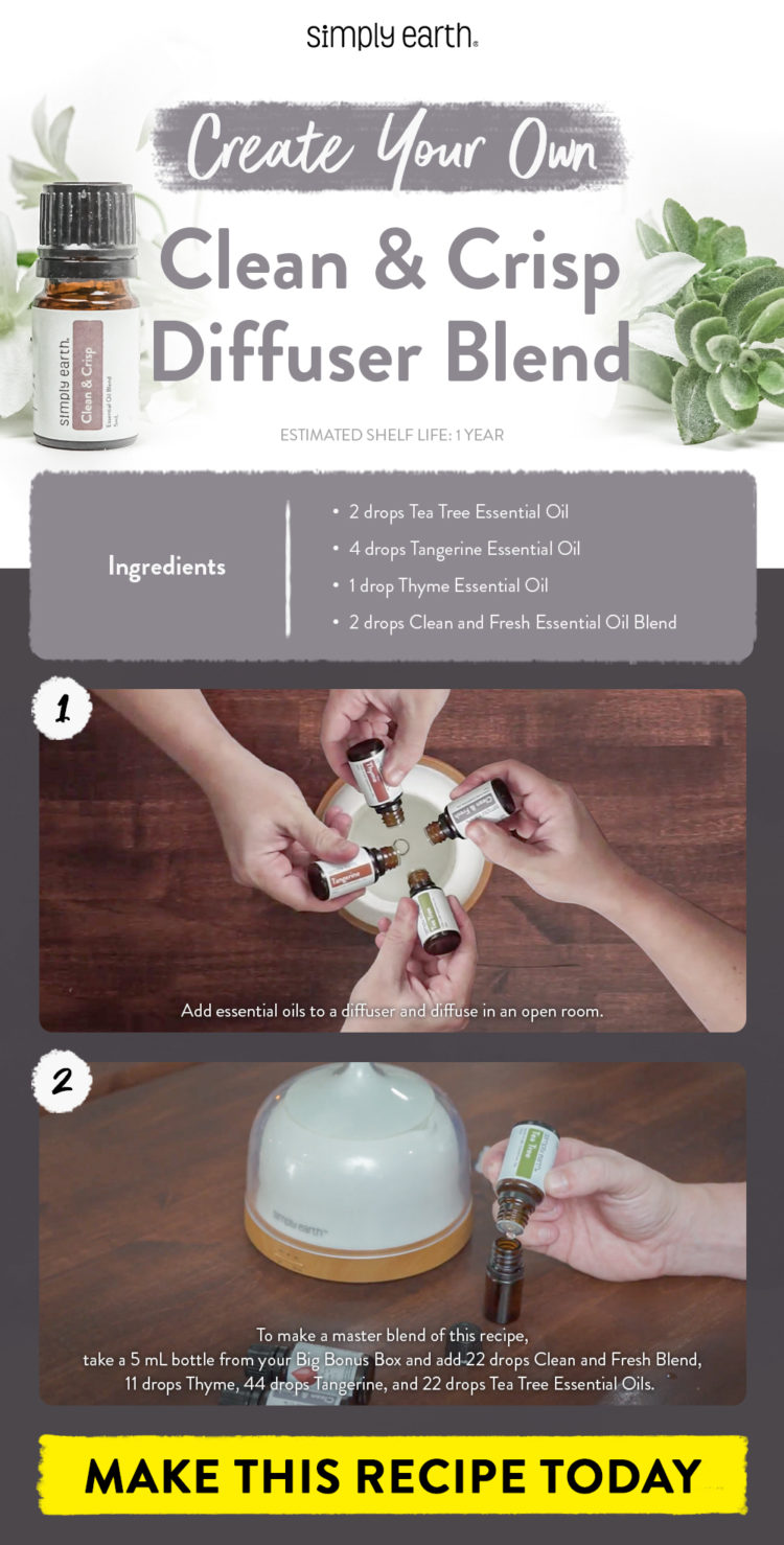 Air-Purifying Diffuser Blend - Simply Earth Blog