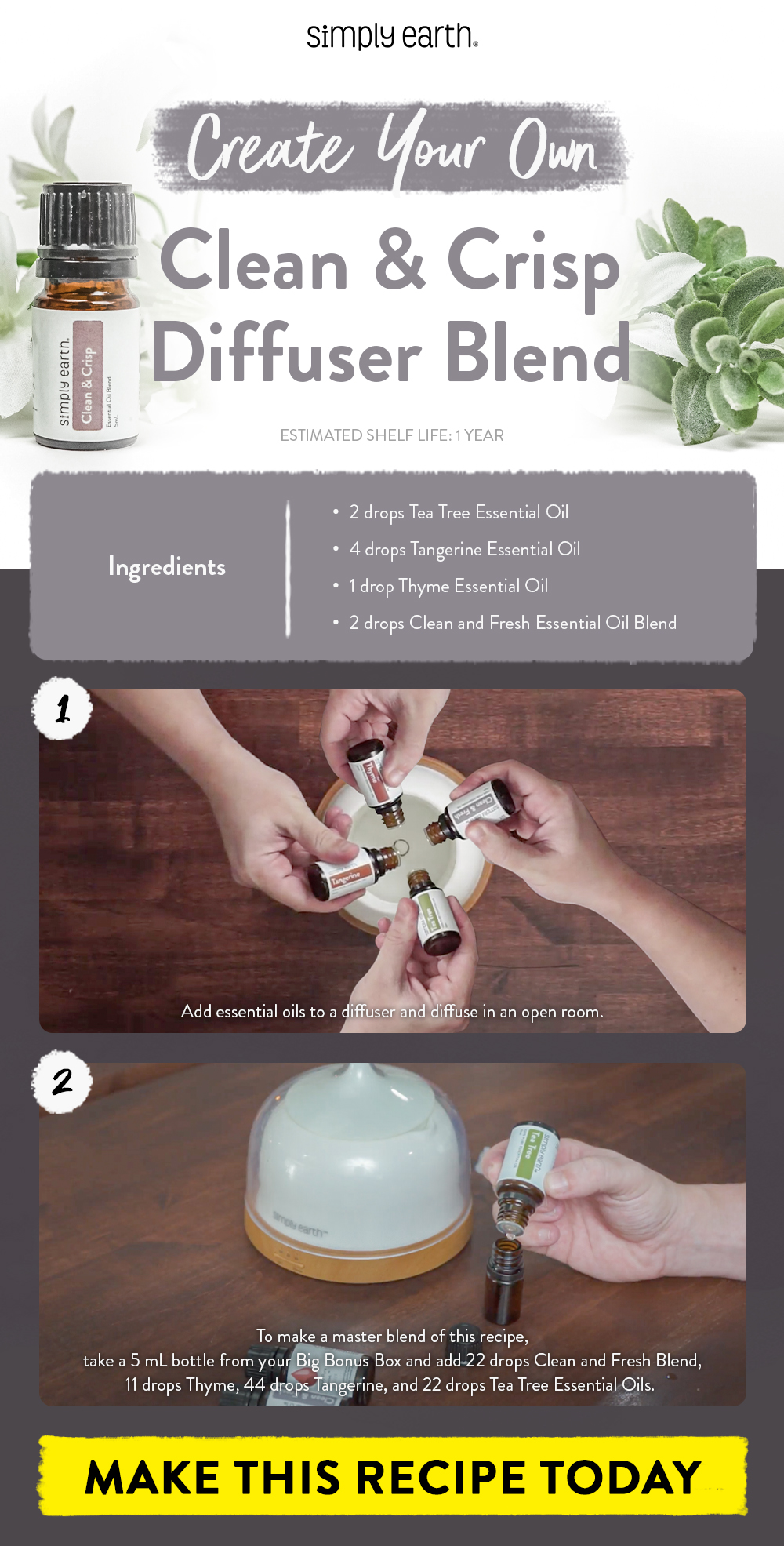 Air-Purifying Diffuser Blend - Simply Earth Blog