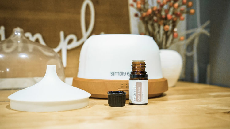 Air-Purifying Diffuser Blend - Simply Earth Blog