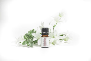 Air-Purifying Diffuser Blend - Simply Earth Blog