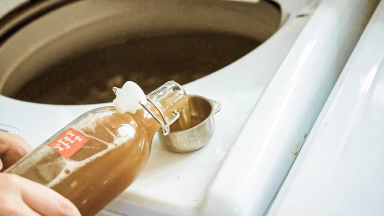Soap Nut Homemade Liquid Laundry Detergent Recipe - Simply Earth Blog