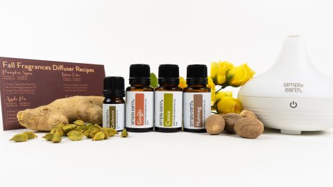 Fall Fragrances Diffuser Set - Simply Earth Blog