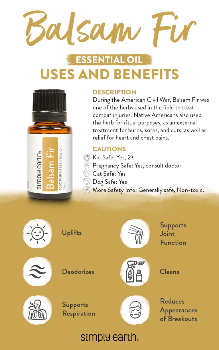 Balsam Fir Essential Oil Benefits, Uses, and Recipes - Simply Earth Blog