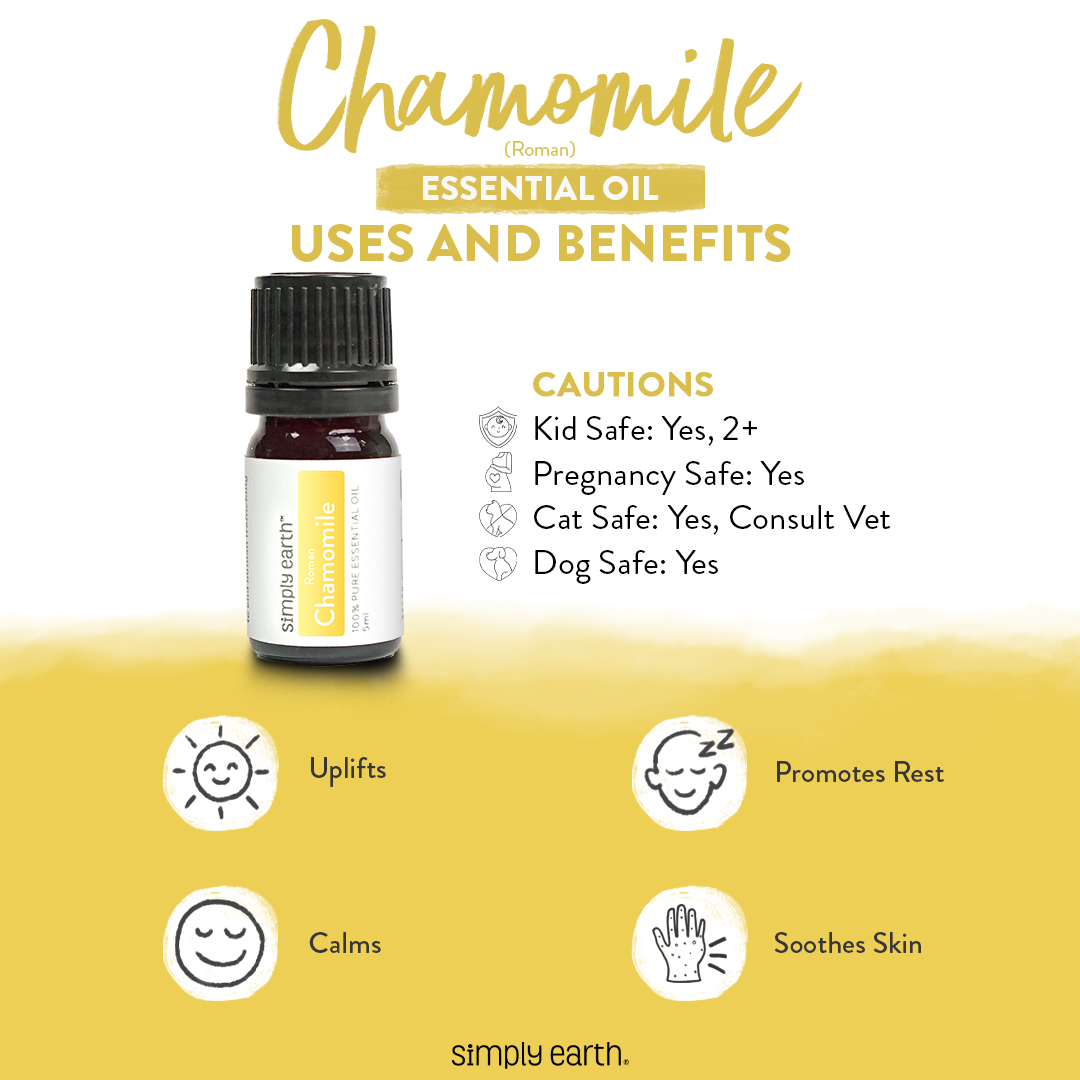 Roman Chamomile Essential Oil Benefits And Uses Simply Earth Blog