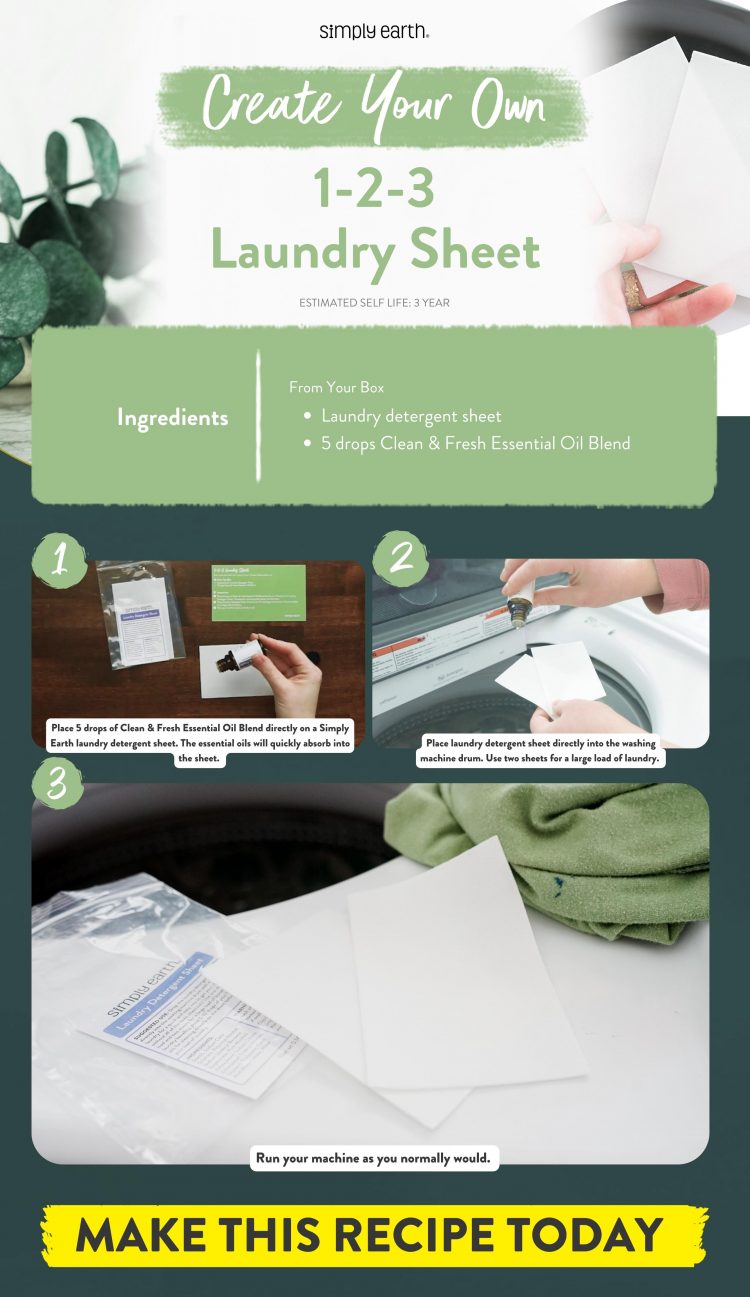 Homemade 1-2-3 Laundry Detergent Sheet Recipe - Simply Earth Blog