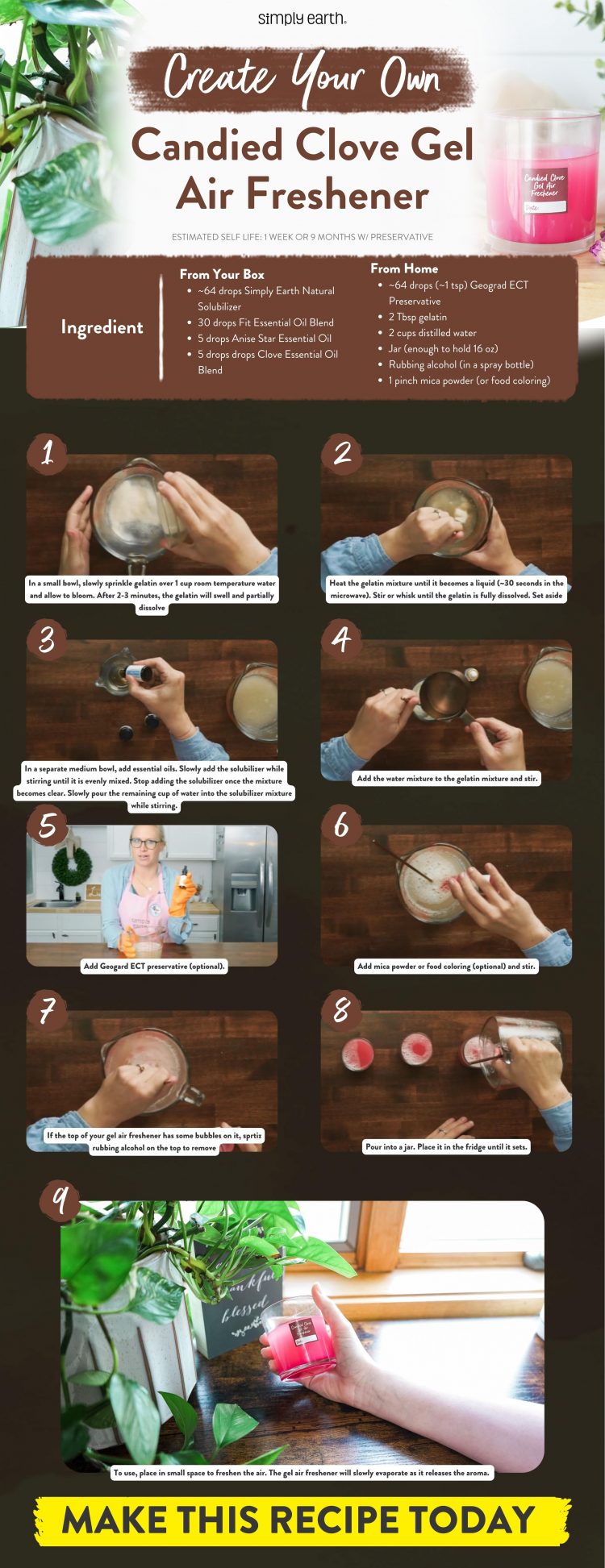 Candied Clove Gel Natural Air Freshener - Simply Earth Blog