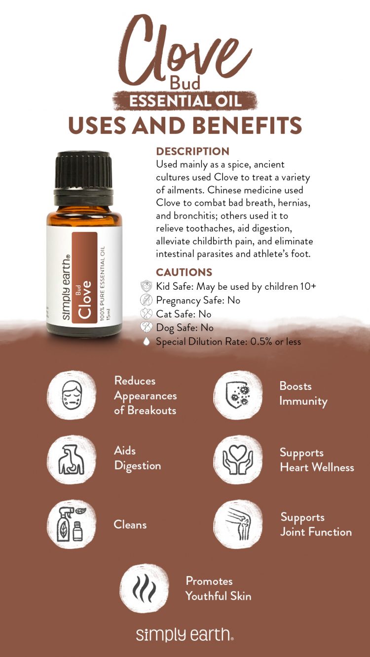Clove Essential Oil Benefits, Uses, & Recipes