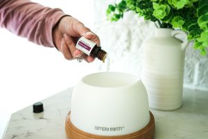 Mosquito Repellent Diffuser Blend - Simply Earth Blog
