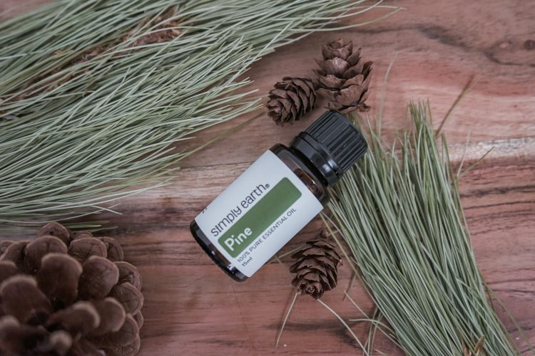 Pine Essential Oil Benefits, Uses, and Recipes - Simply Earth Blog