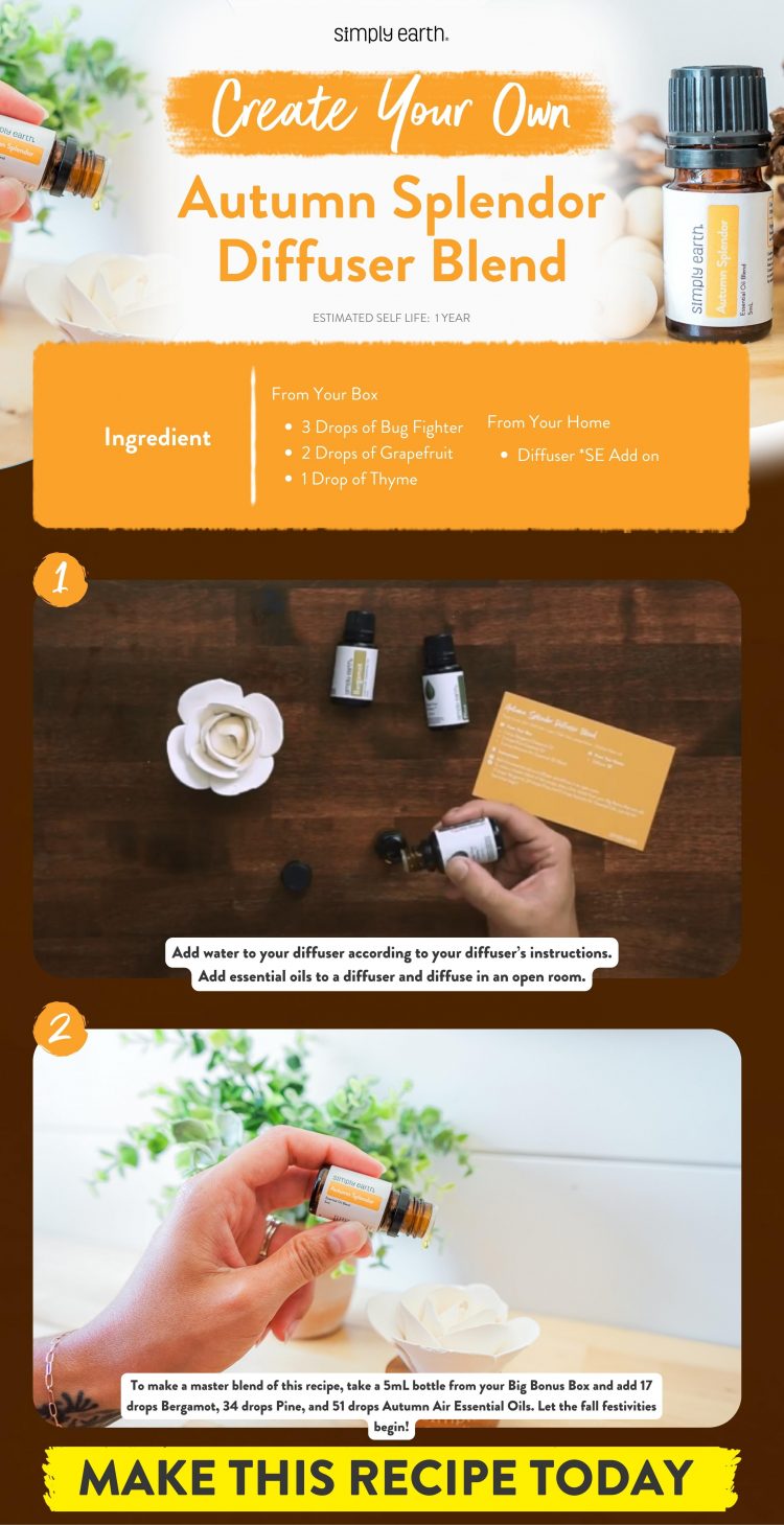 Autumn Splendor Essential Oil Diffuser Blend - Simply Earth Blog