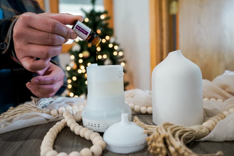 Christmas Essential Oil Diffuser Blend Recipe - Simply Earth Blog
