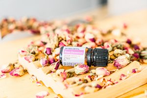 Uses and Benefits of Rose Geranium Essential Oil - Simply Earth Blog
