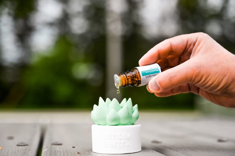 Peaceful Forest Diffuser Blend Recipe - Simply Earth Blog