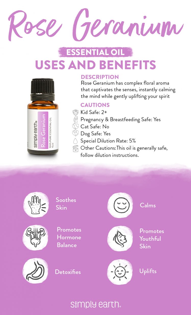 Uses and Benefits of Rose Geranium Essential Oil - Simply Earth Blog