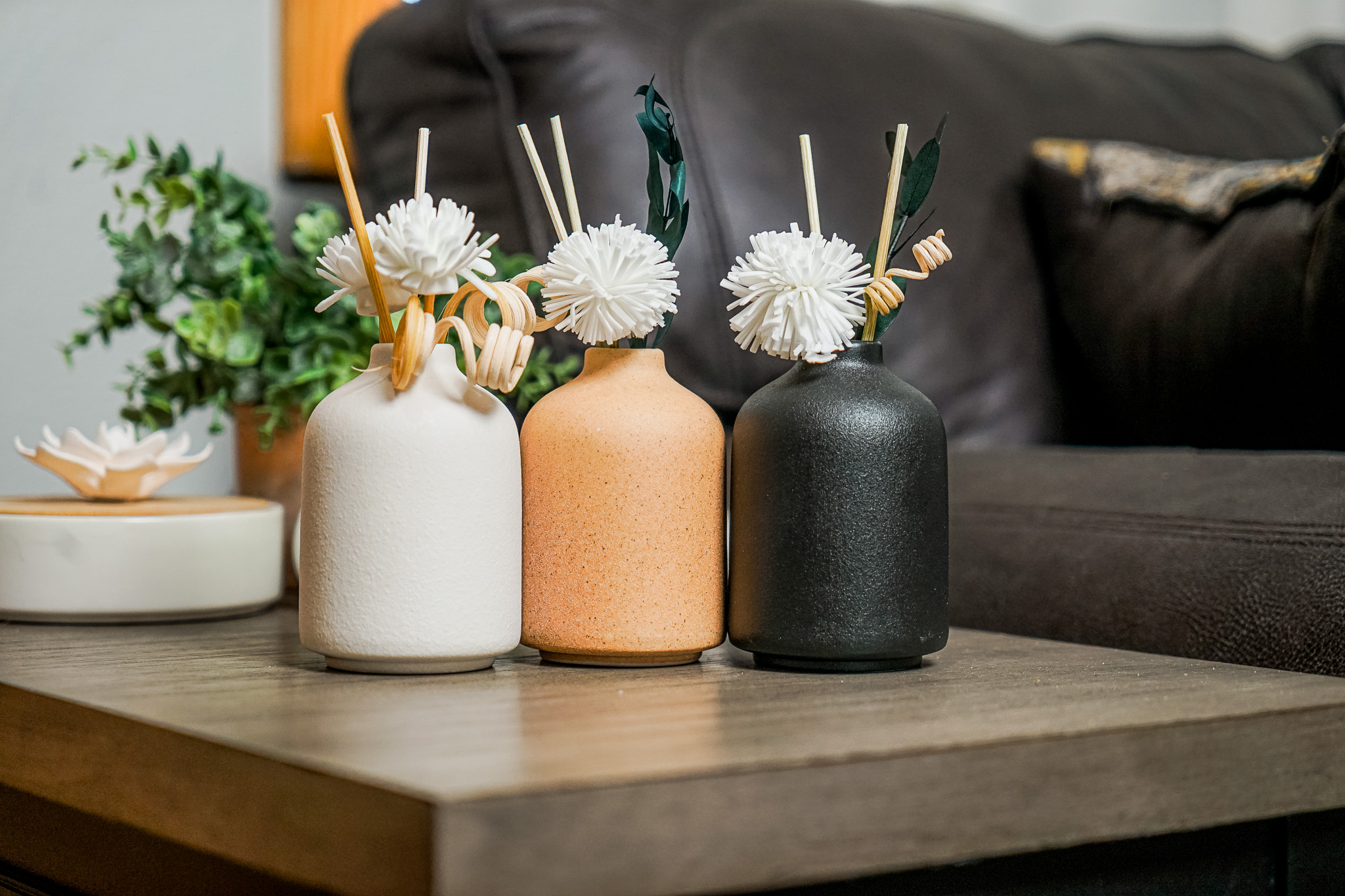 Transform Your Space with Our DIY Reed Diffuser Kit - Simply Earth Blog