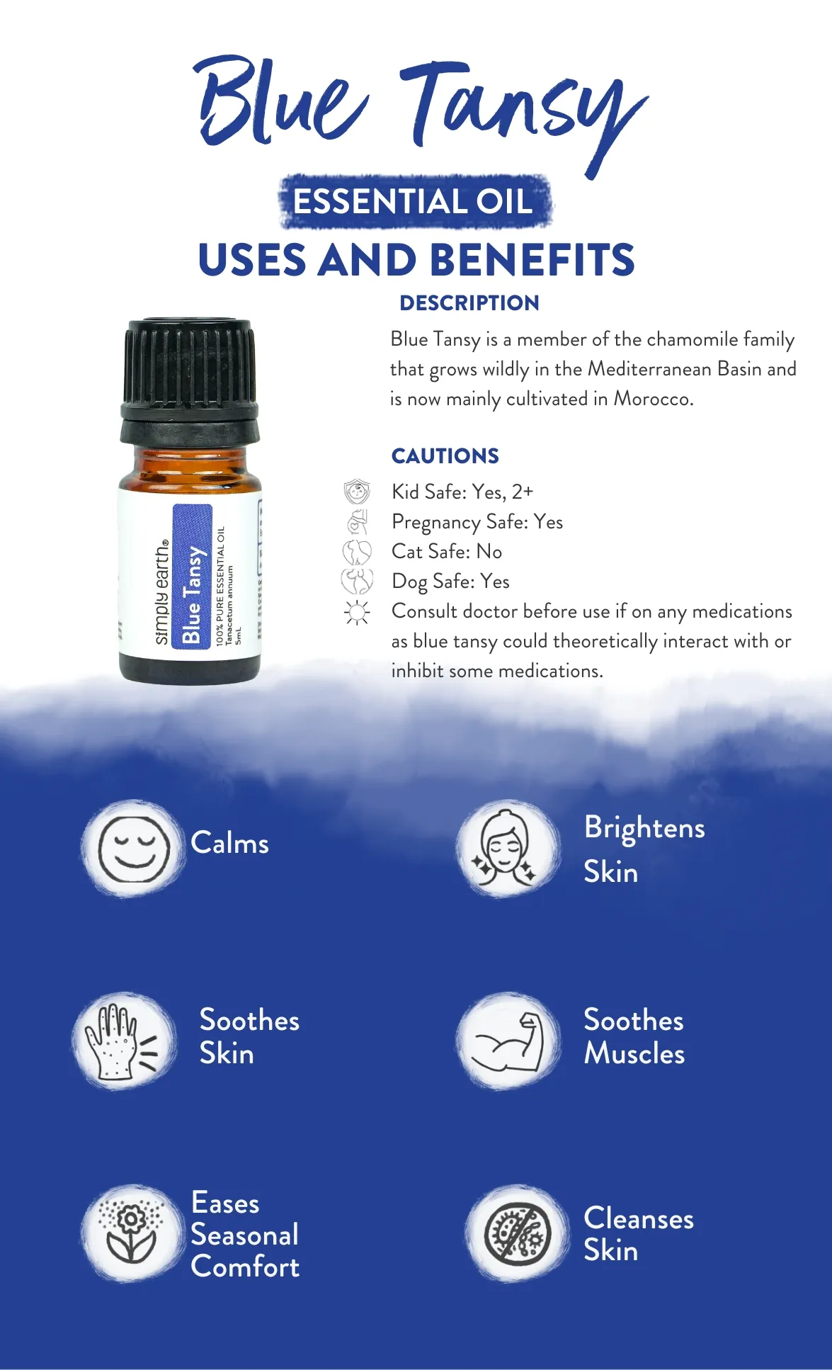 Everything You Need to Know About Blue Tansy Essential Oil